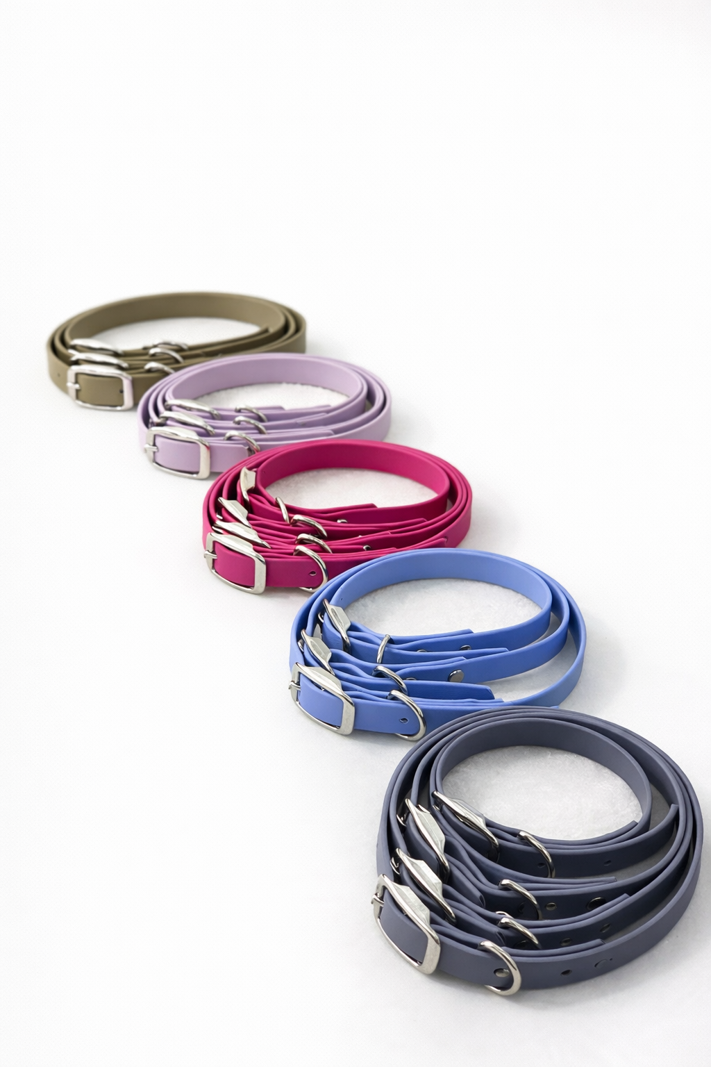 Foundation Essential Dog Collar – Foundation Lines